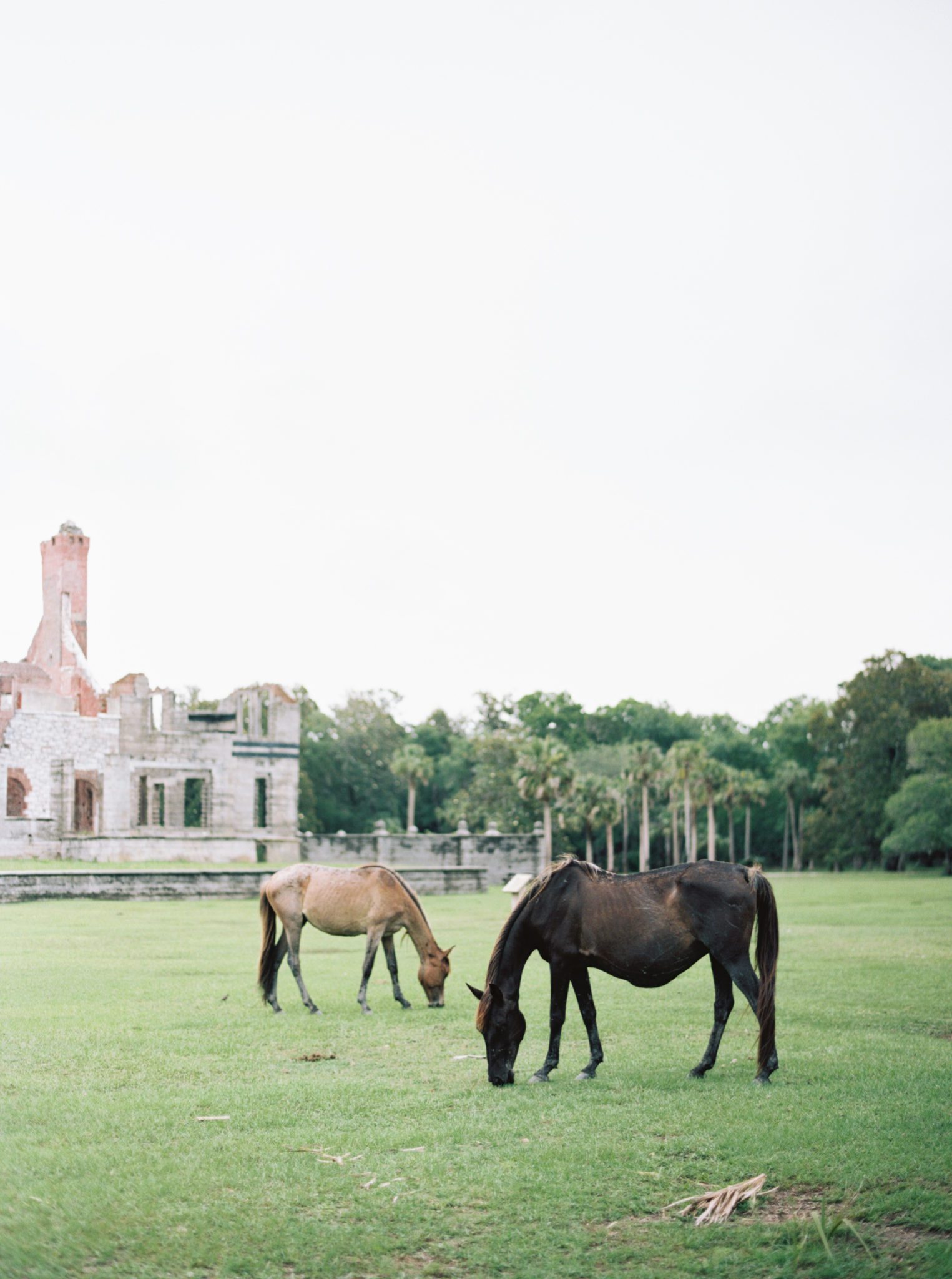 Georgia Fine Art Wedding Photography | Kelly Berry Photography » Kelly ...
